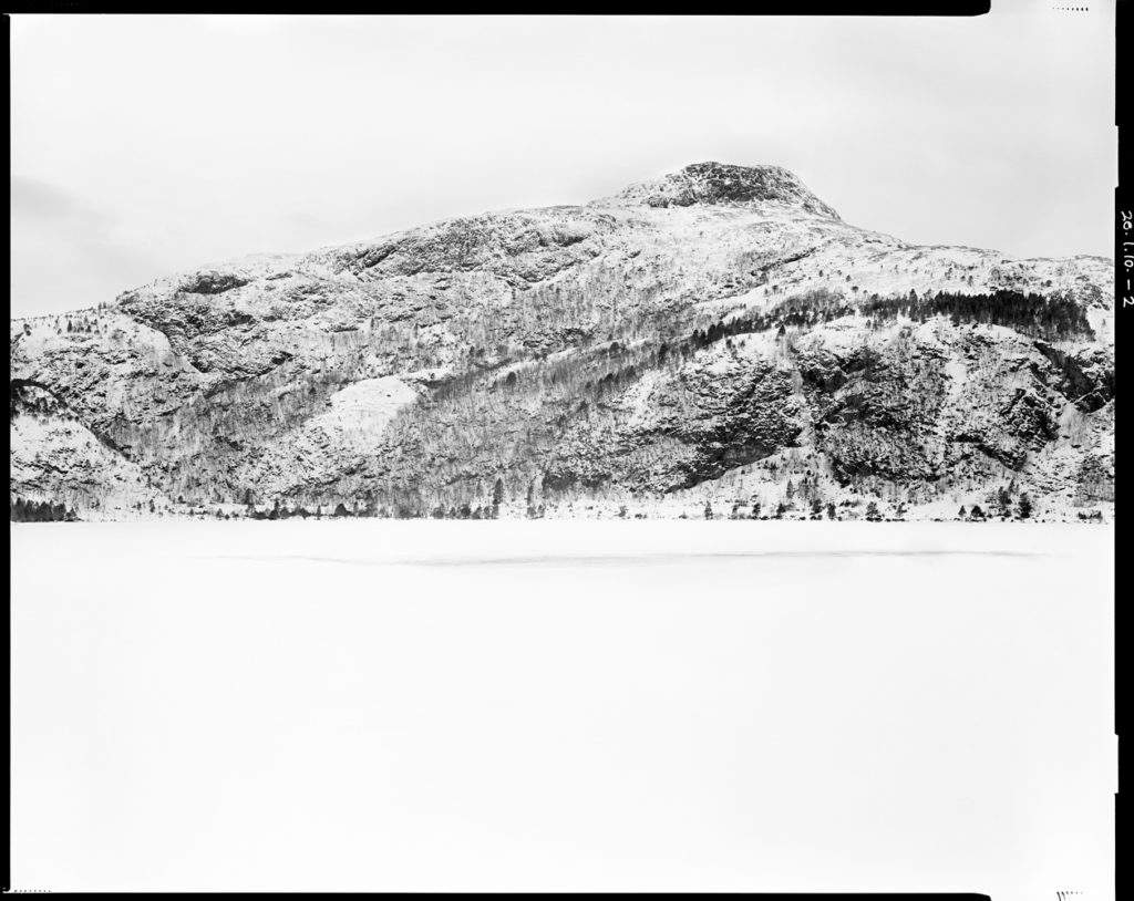 The Time of Trees - Extended version - Stuart Franklin