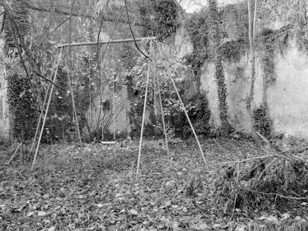 The Time of Trees - Extended version - Stuart Franklin