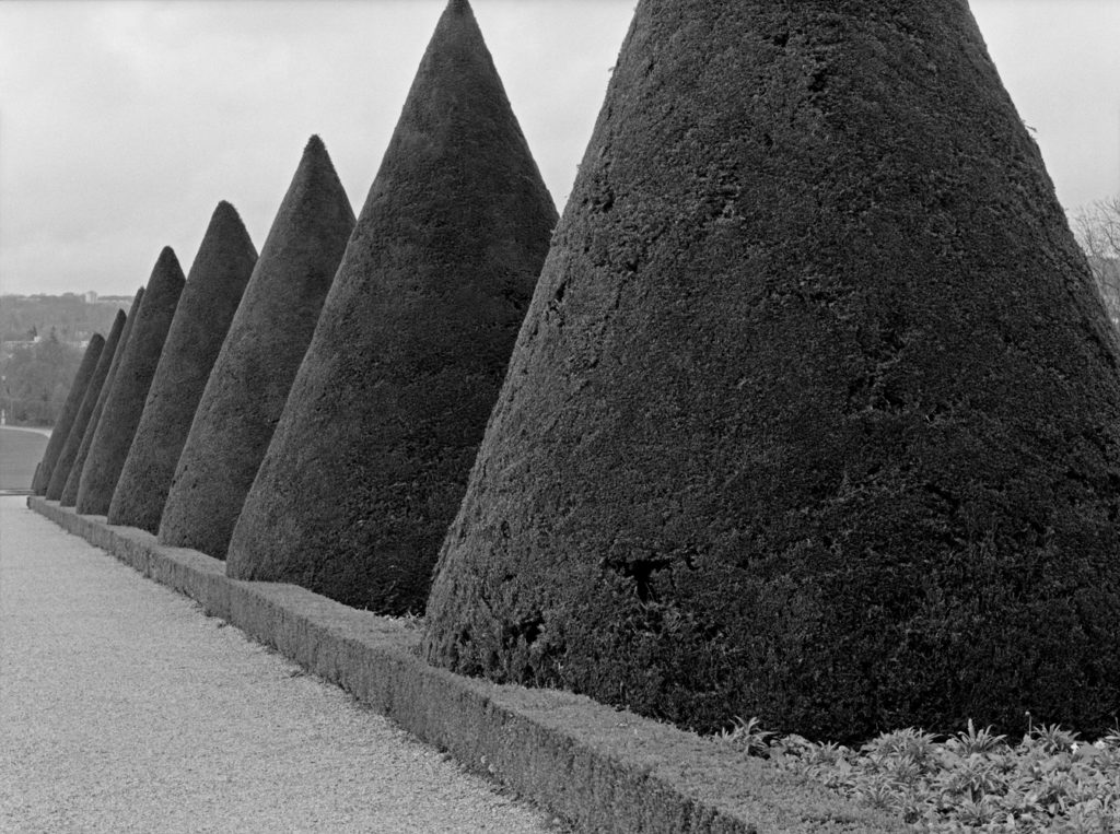 The Time of Trees - Extended version - Stuart Franklin